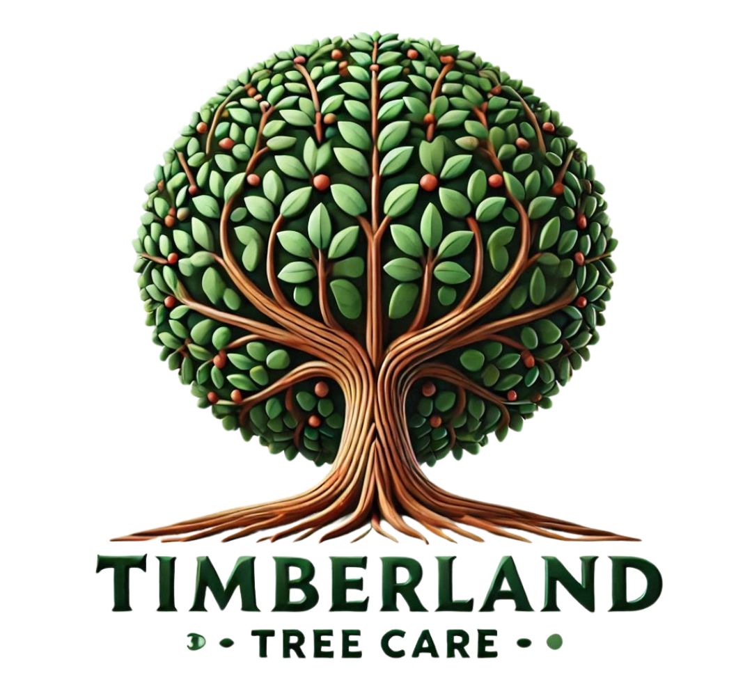 HOME [timberlandtreecarecompany.com]